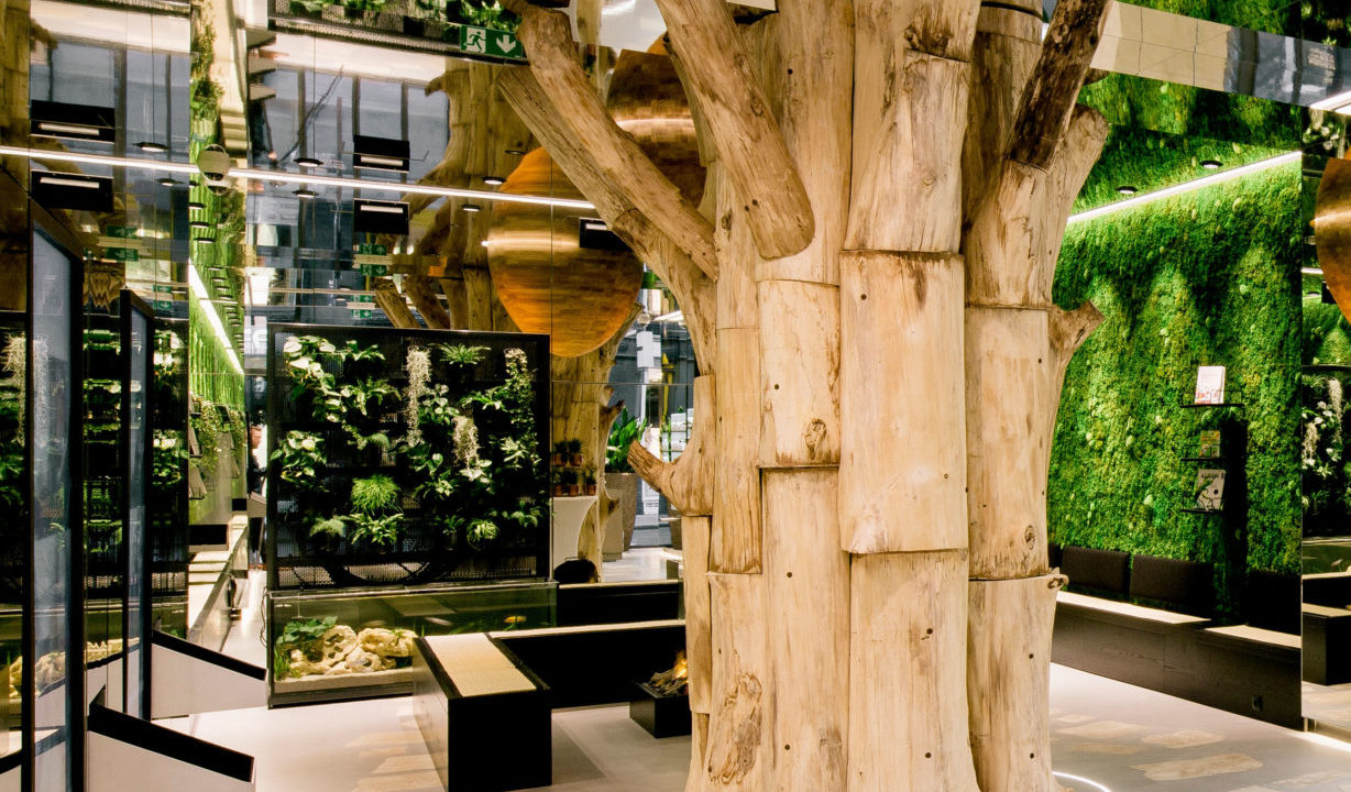 Biogena Wien | Architekten und Innenarchitekten aus Leidenschaft ...